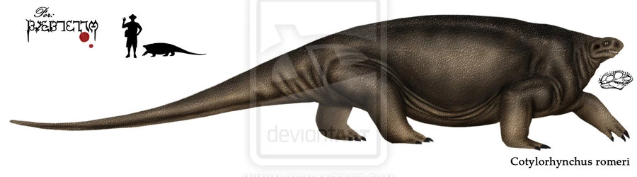 Image - Cotylorhynchus romeri.jpg | Dinopedia | FANDOM powered by Wikia