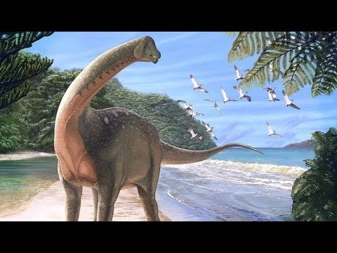 Mansourasaurus | Dinopedia | Fandom