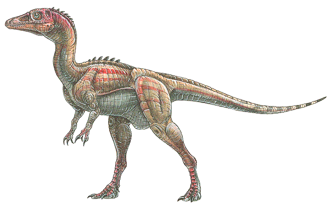 Theropoda | Dinopedia | FANDOM powered by Wikia