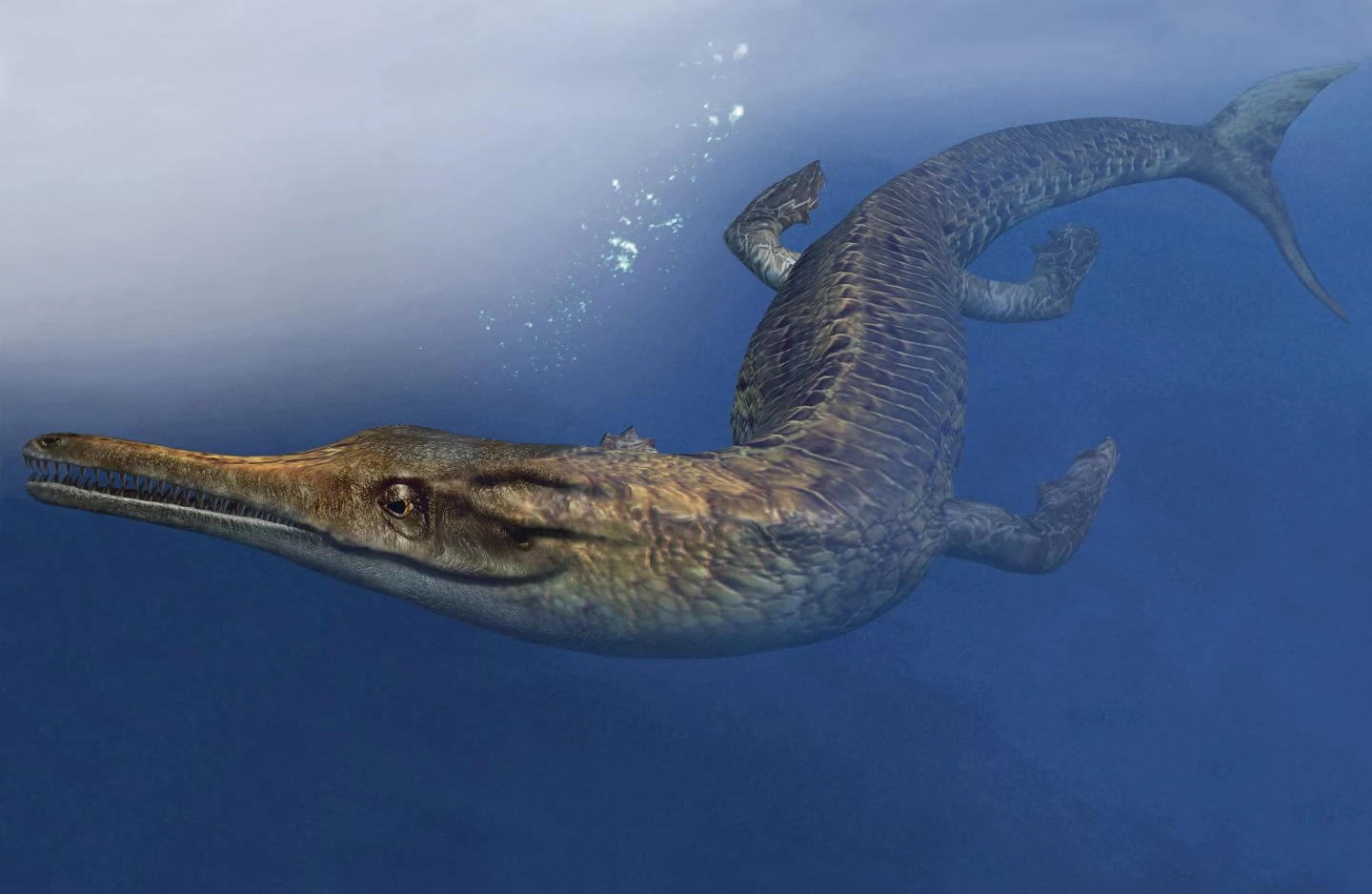 Geosaurus | Dinopedia | FANDOM powered by Wikia