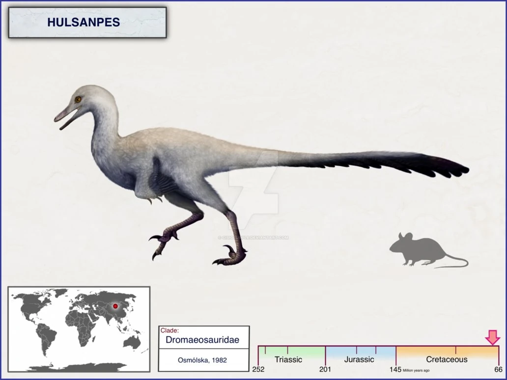 Hulsanpes | Dinopedia | Fandom