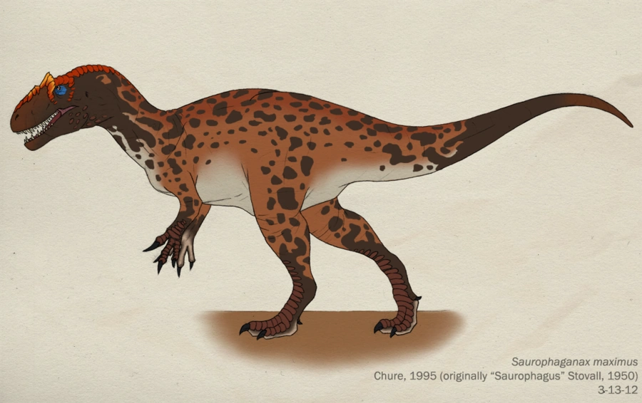 Saurophaganax | Dinopedia | Fandom