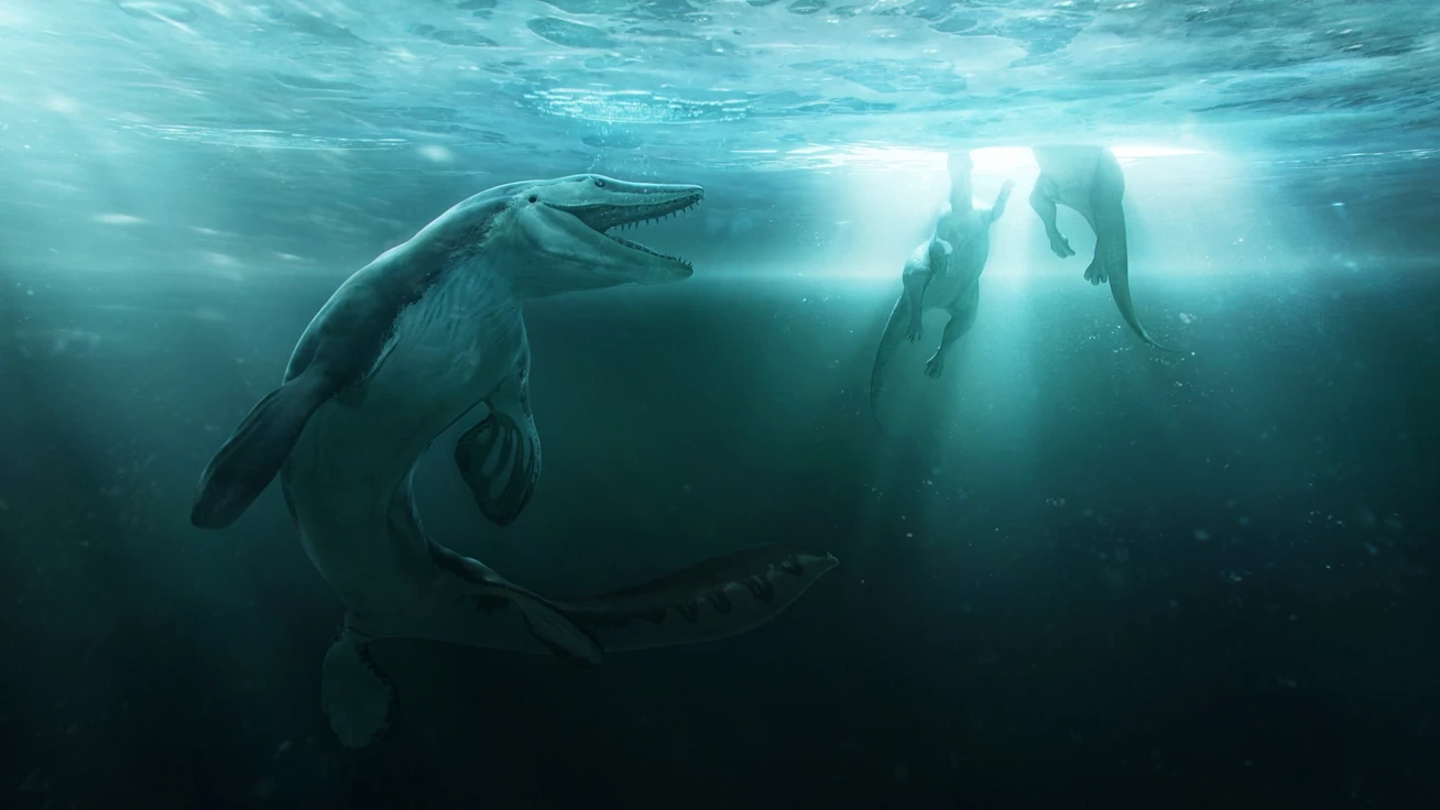 Prognathodon | Dinopedia | Fandom