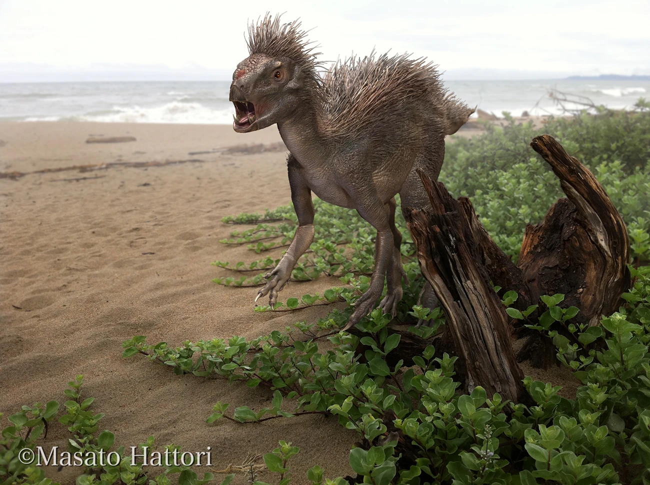 Pegomastax | Dinopedia | FANDOM powered by Wikia