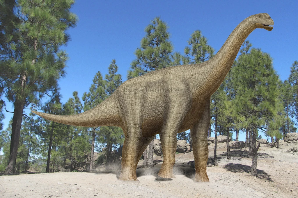 Lourinhasaurus | Dinopedia | FANDOM powered by Wikia