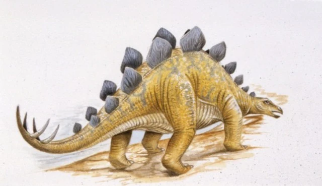 Dravidosaurus | Dinopedia | Fandom