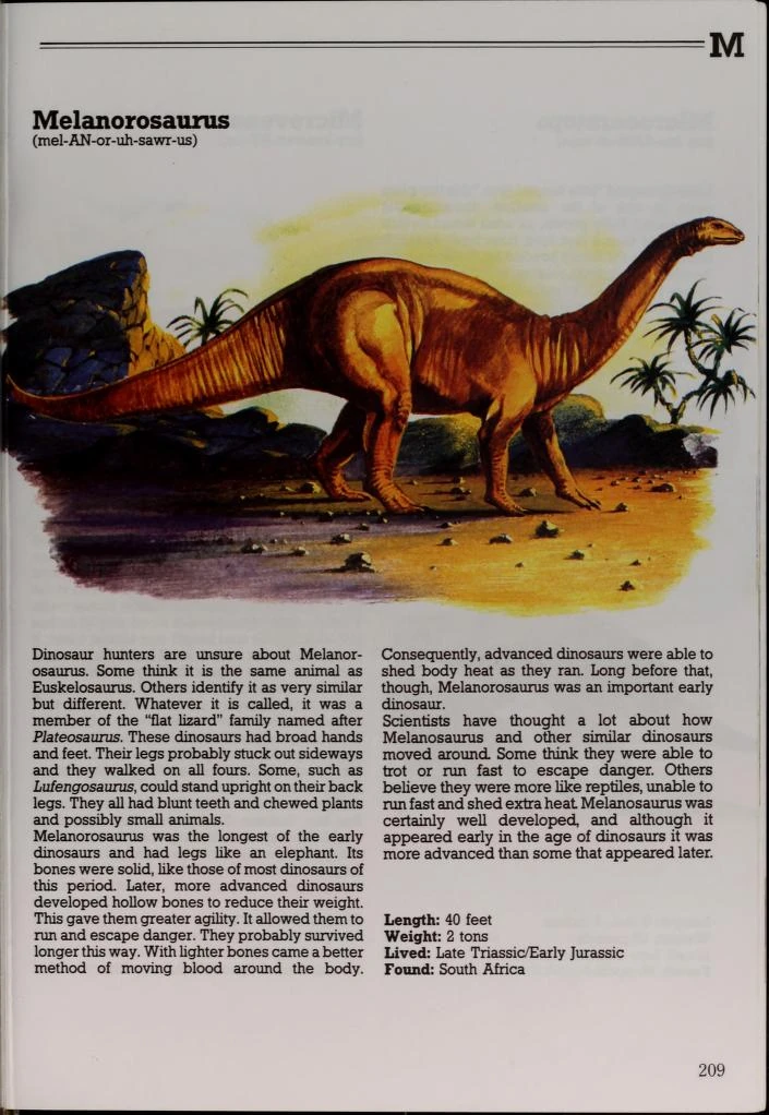 Melanorosaurus | Dinopedia | Fandom