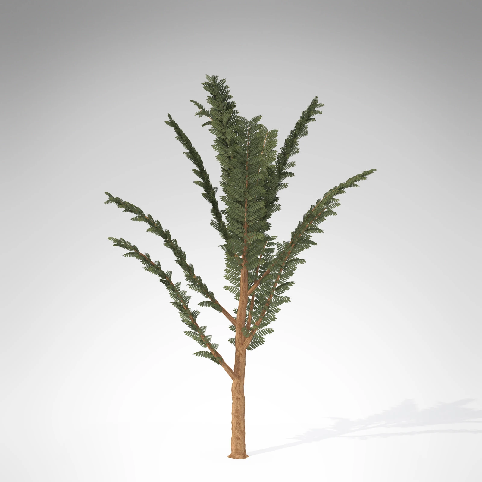 A noob project - Page 19 - The ZT2 Round Table