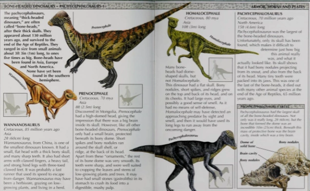 Wannanosaurus | Dinopedia | Fandom