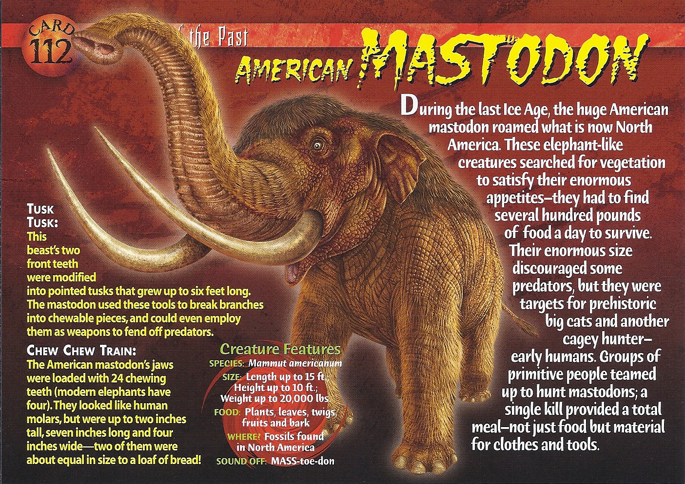 Image - American Mastodon front.jpg | Dinopedia | FANDOM powered by Wikia