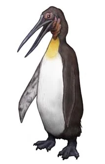 Icadyptes | Dinopedia | FANDOM powered by Wikia