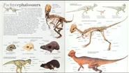 Wannanosaurus | Dinopedia | Fandom