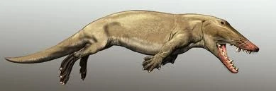 Image - Pakicetus.jpg | Dinopedia | FANDOM powered by Wikia