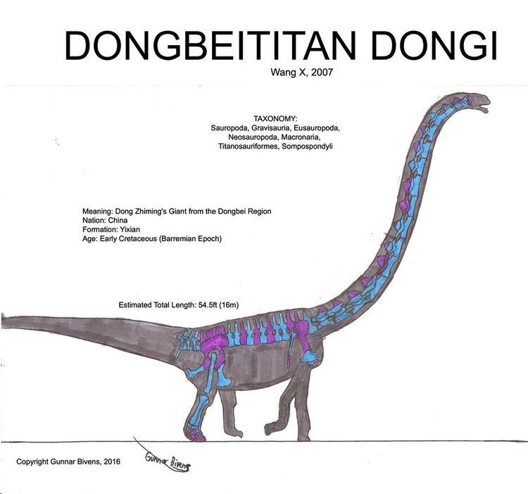 Dongbeititan | Dinopedia | Fandom