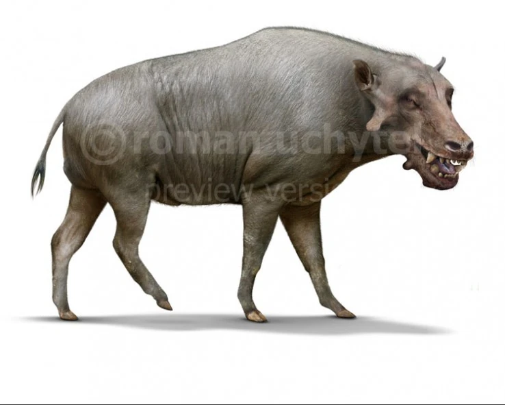 Paraentelodon | Dinopedia | FANDOM powered by Wikia