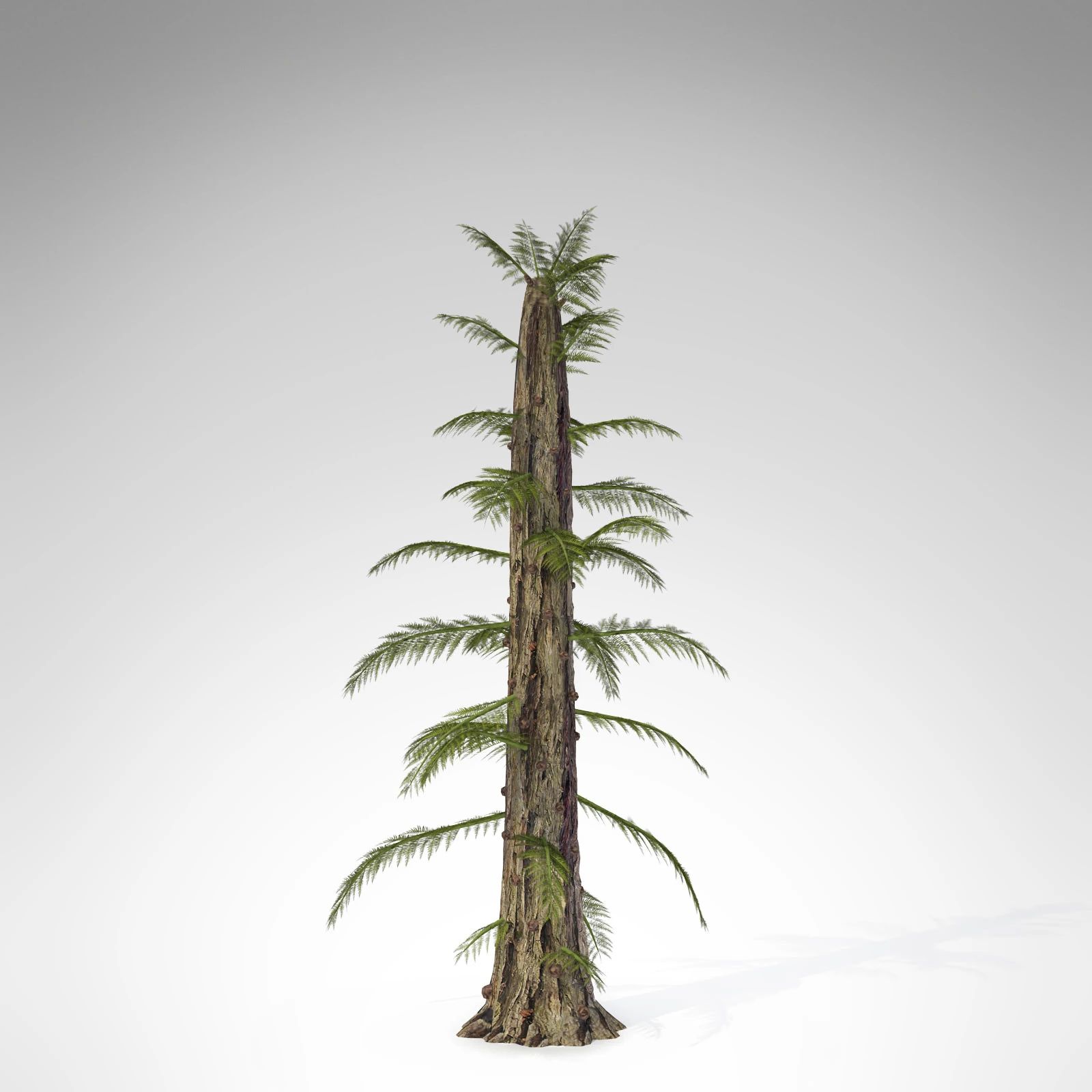 A noob project - Page 19 - The ZT2 Round Table