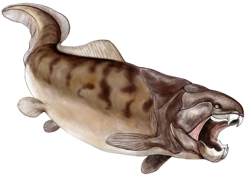 Dunkleosteus | Dinopedia | FANDOM powered by Wikia