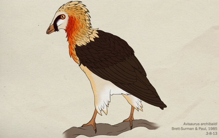 Avisaurus | Dinopedia | FANDOM powered by Wikia