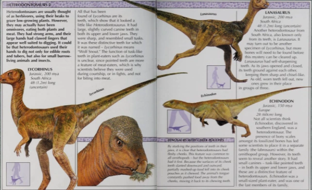 Lycorhinus | Dinopedia | Fandom
