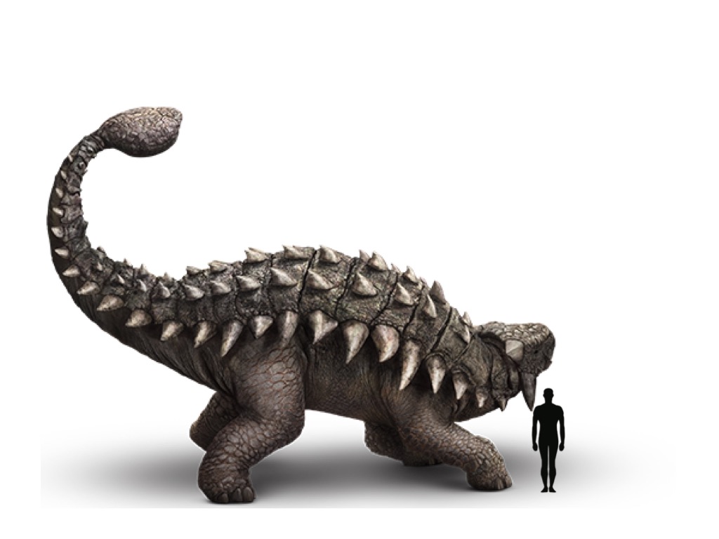Image - Ankylosaurus Size.jpeg | Dinopedia | FANDOM powered by Wikia