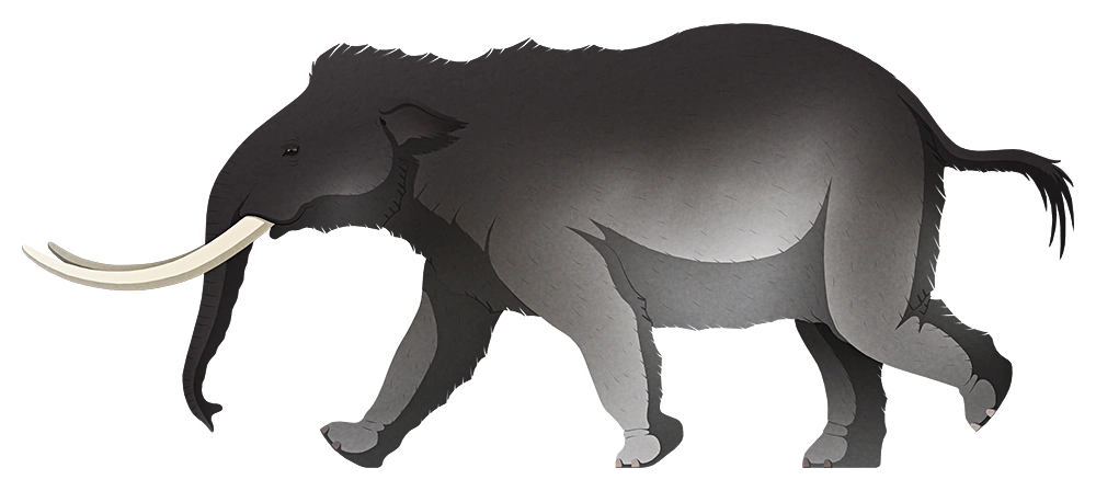 Dwarf Sicilian Elephant | Dinopedia | Fandom