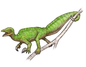 Drepanosaurus | Dinopedia | FANDOM powered by Wikia