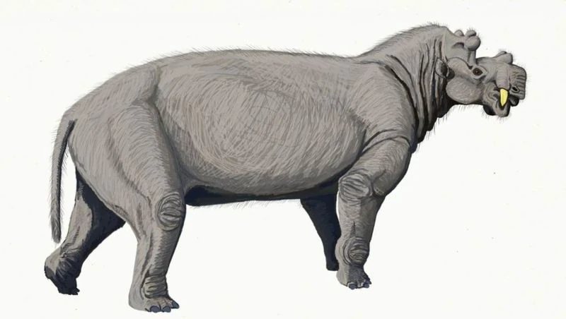 Uintatherium | Dinopedia | FANDOM powered by Wikia