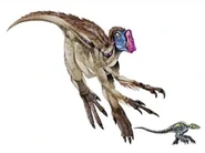 Chirostenotes | Dinopedia | Fandom