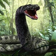 Titanoboa | Dinopedia | FANDOM powered by Wikia