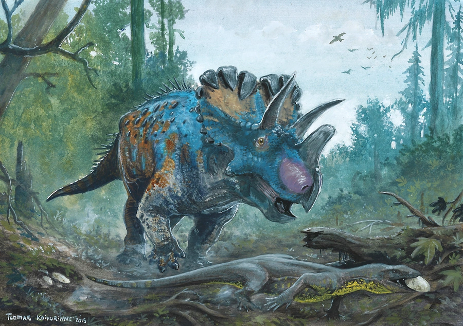Wendiceratops | Dinopedia | FANDOM powered by Wikia