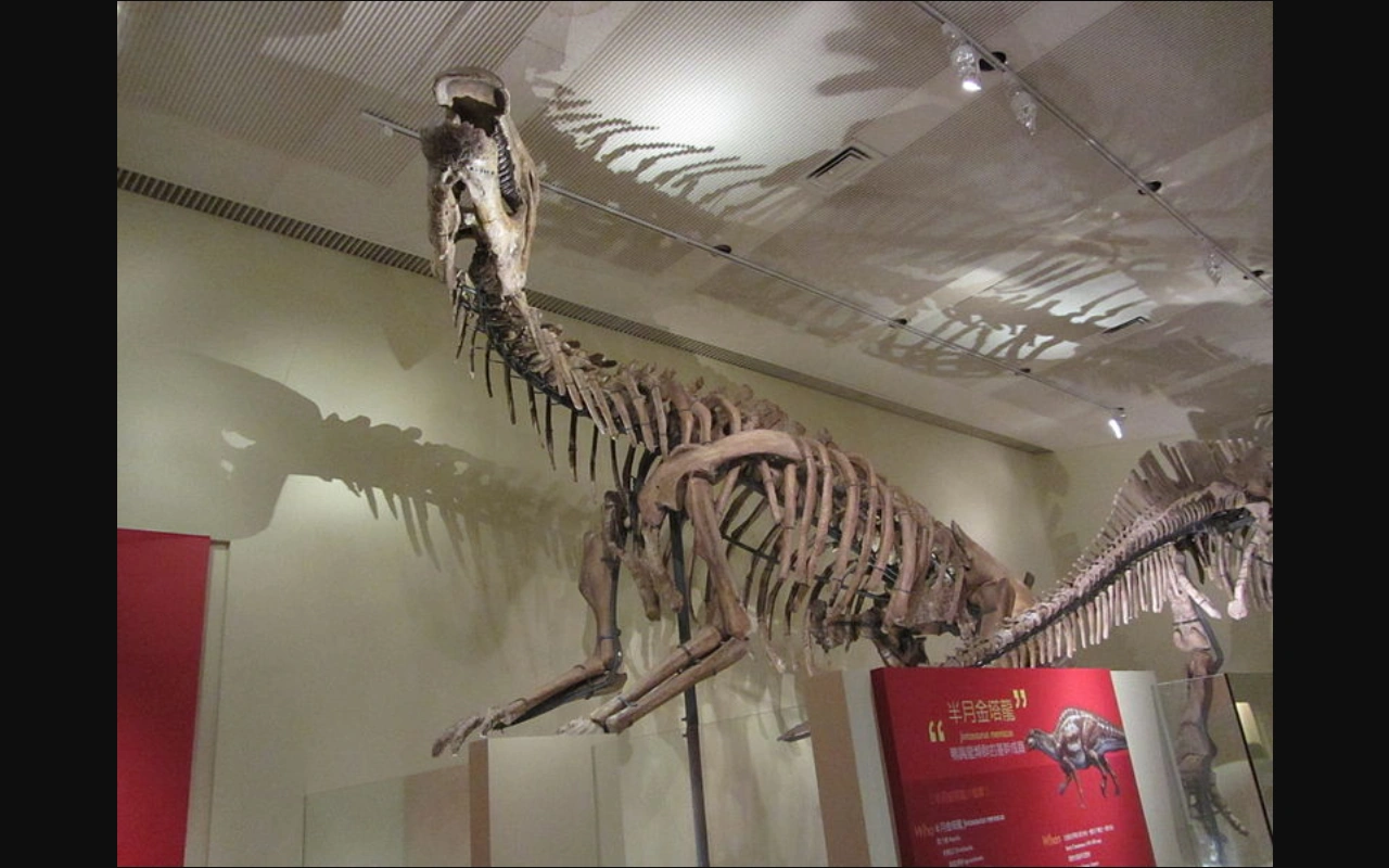 Lanzhousaurus | Dinopedia | Fandom