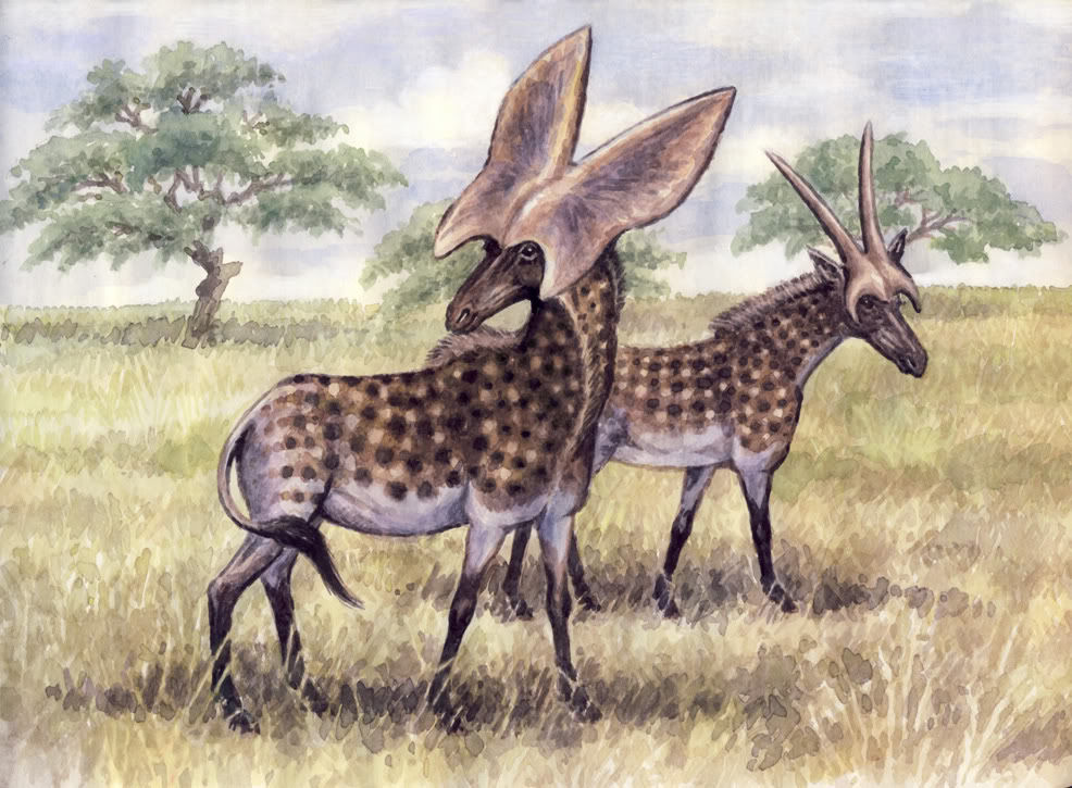 Prolibytherium | Dinopedia | Fandom Prolibytherium | Dinopedia | Fandom