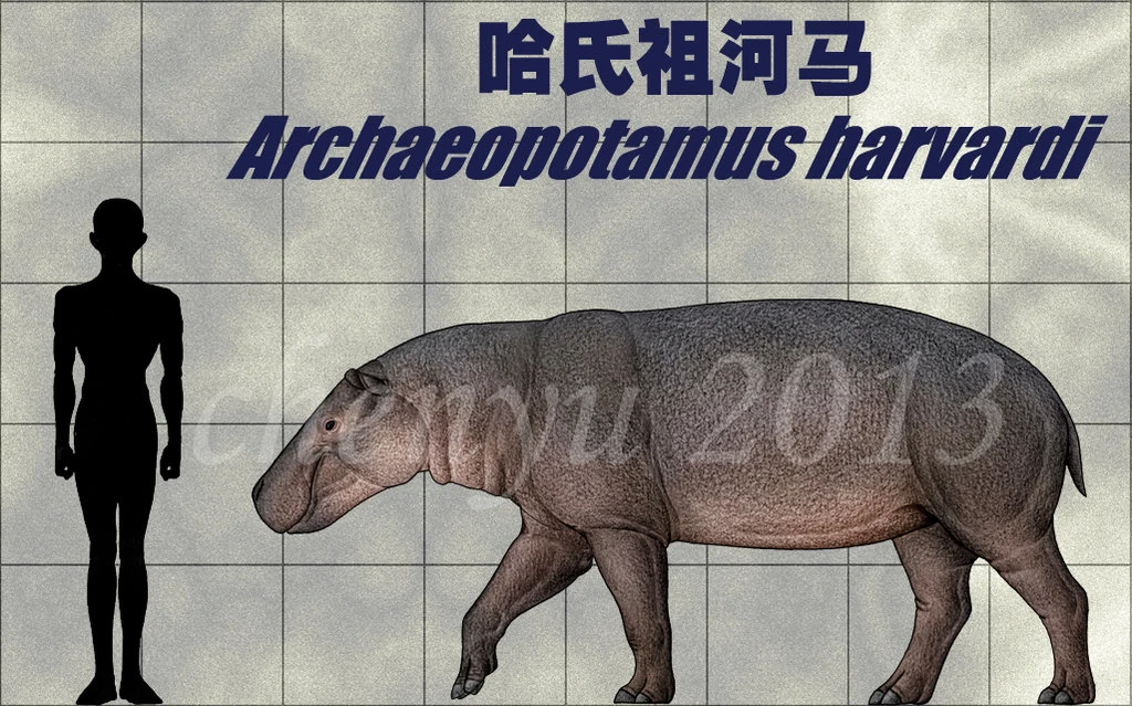 Archaeopotamus | Dinopedia | FANDOM powered by Wikia