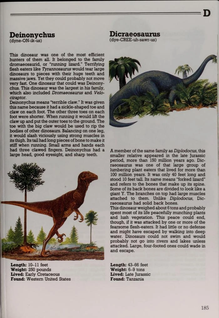 Dicraeosaurus | Dinopedia | Fandom