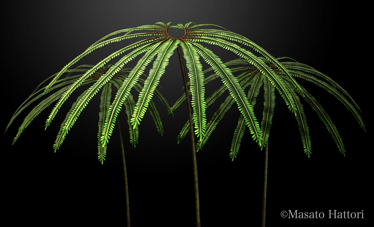 A noob project - Page 19 - The ZT2 Round Table