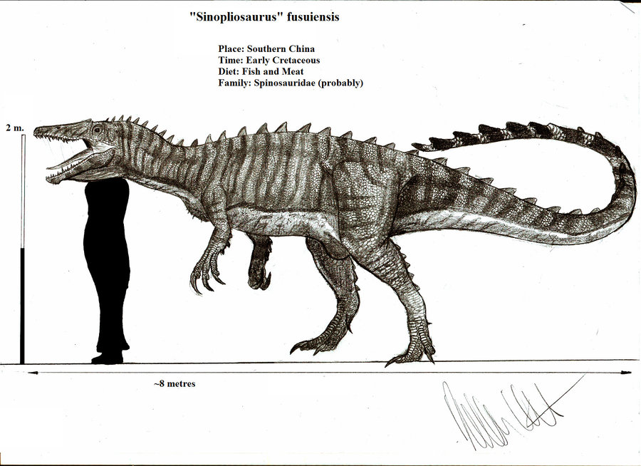 Sinopliosaurus Dinopedia Fandom Powered By Wikia