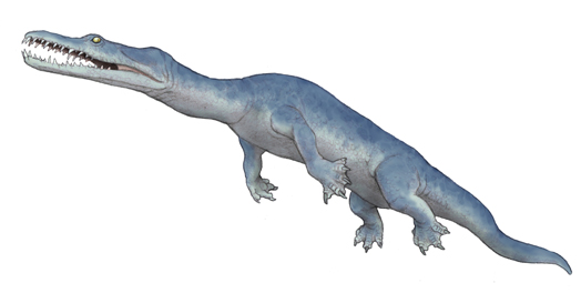 Nothosaurus Dinopedia Fandom Powered By Wikia