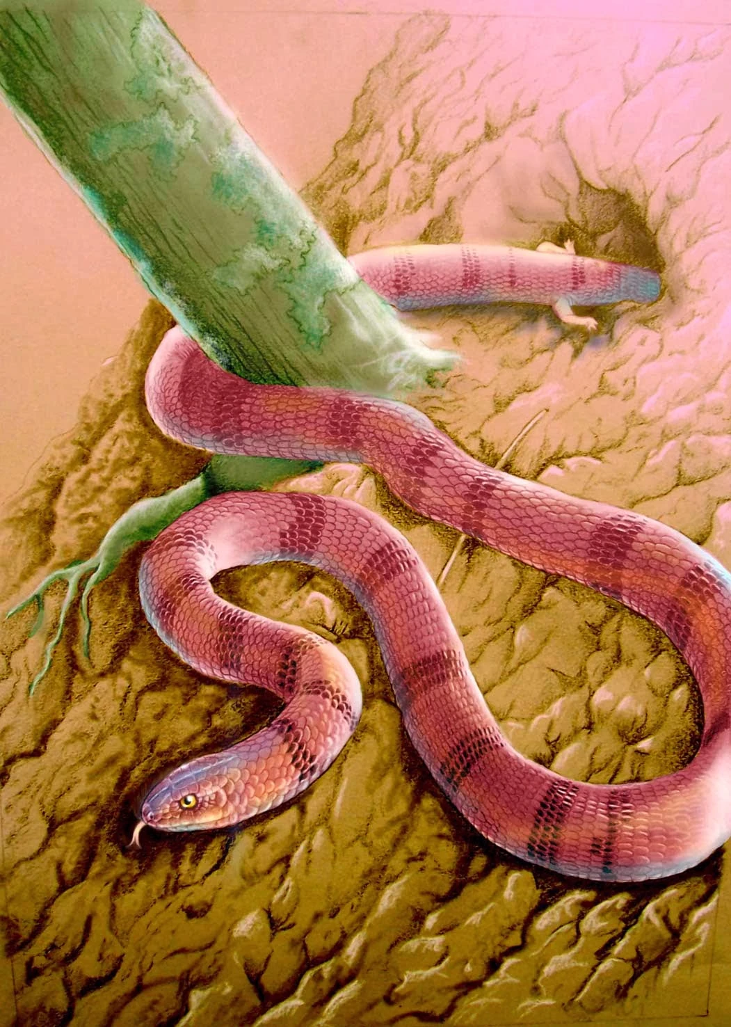 Najash | Dinopedia | Fandom