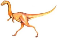 Procompsognathus | Dinopedia | Fandom