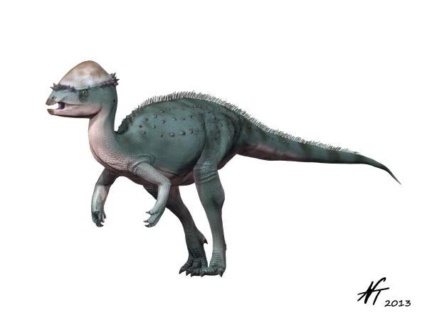 Pachycephalosauridae | Dinopedia | Fandom