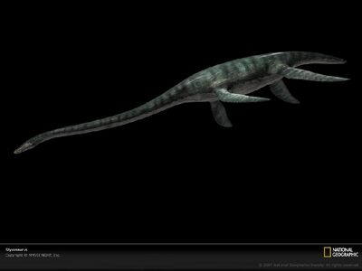 Styxosaurus | Dinopedia | Fandom