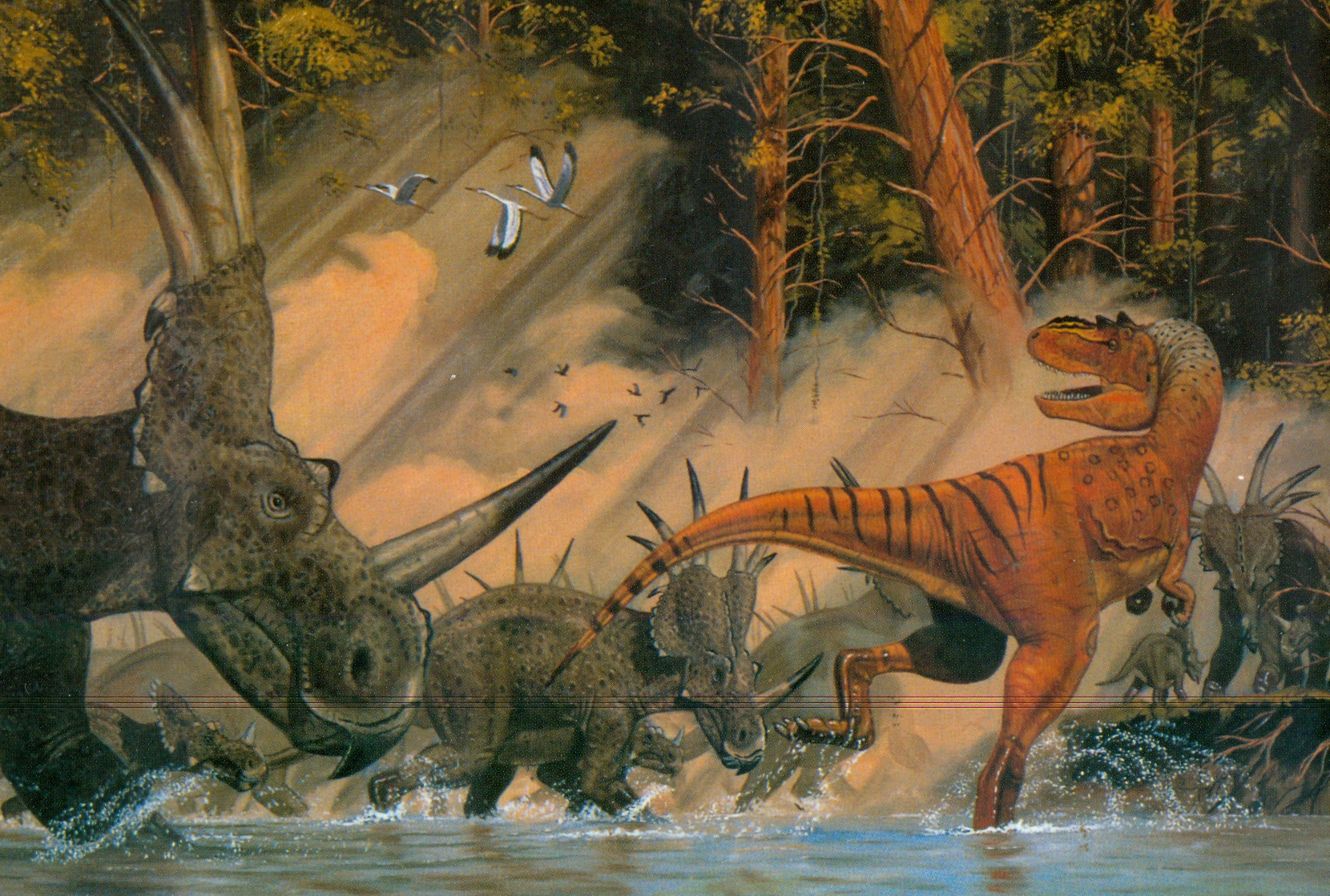 Image - Gorgosaurus vs Styracosaurus.jpg | Dinopedia | FANDOM powered ... Image - Gorgosaurus vs Styracosaurus.jpg | Dinopedia | FANDOM powered ...
