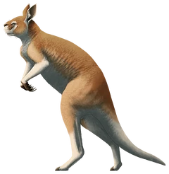 Procoptodon | Dinopedia | FANDOM powered by Wikia