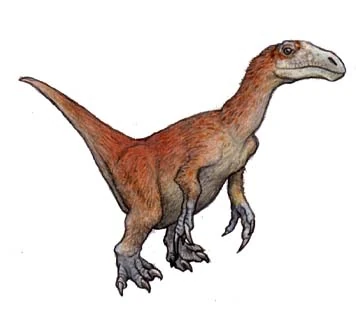 Neimongosaurus | Dinopedia | FANDOM powered by Wikia