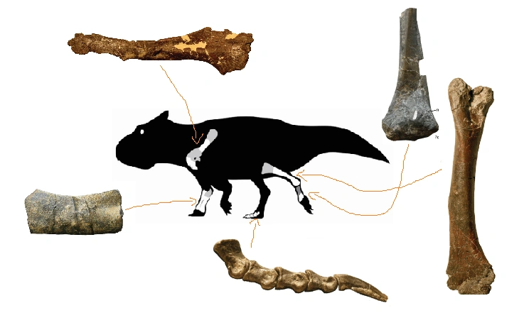 Ferrisaurus | Dinopedia | Fandom