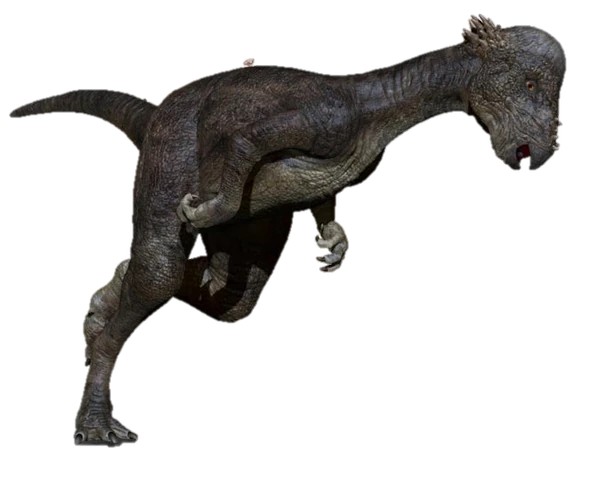 Image - Pachy.png | Dinopedia | FANDOM powered by Wikia