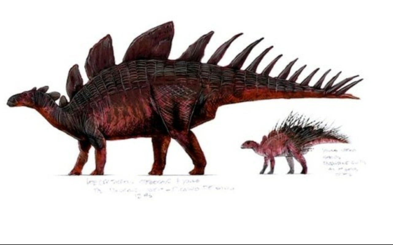 Craterosaurus | Dinopedia | Fandom
