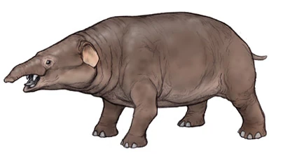 Barytherium | Dinopedia | FANDOM powered by Wikia