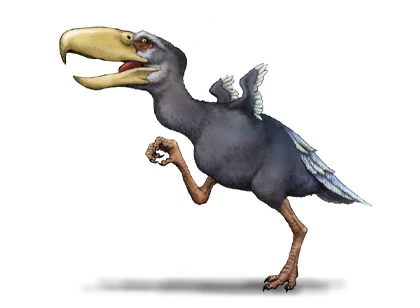 Kelenken | Dinopedia | Fandom