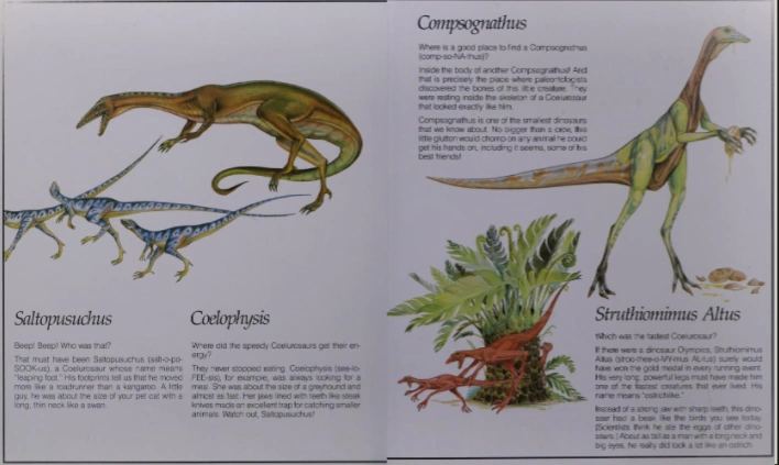 Saltoposuchus | Dinopedia | Fandom